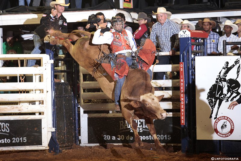Touros levam a melhor na 1ª noite de Rodeio Internacional em Barretos ...
