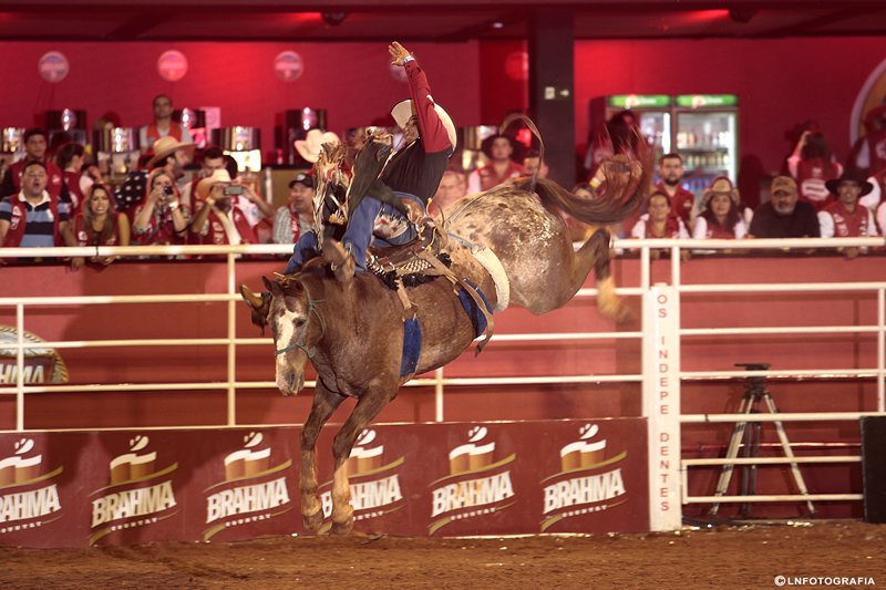 Empate na disputa do Cutiano no Barretos International Rodeo | Festa do ...