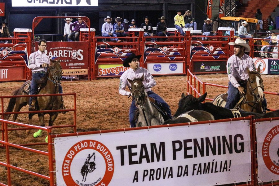 Trios concluem prova do Team Penning em 37 segundos nas categorias aberta e amador semifinal ...