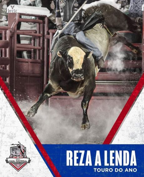 BARRETOS 2022: PBR RODEIO ÉPICO | Festa do Peão de Barretos | Os ...